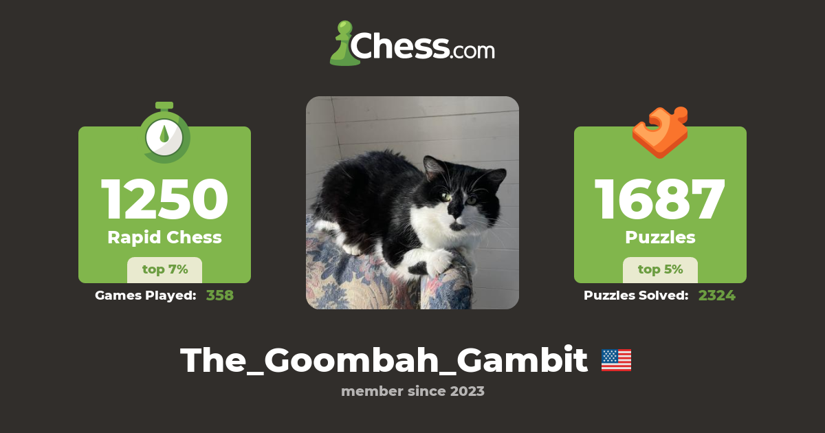 The_Goombah_Gambit - Chess Profile - Chess.com