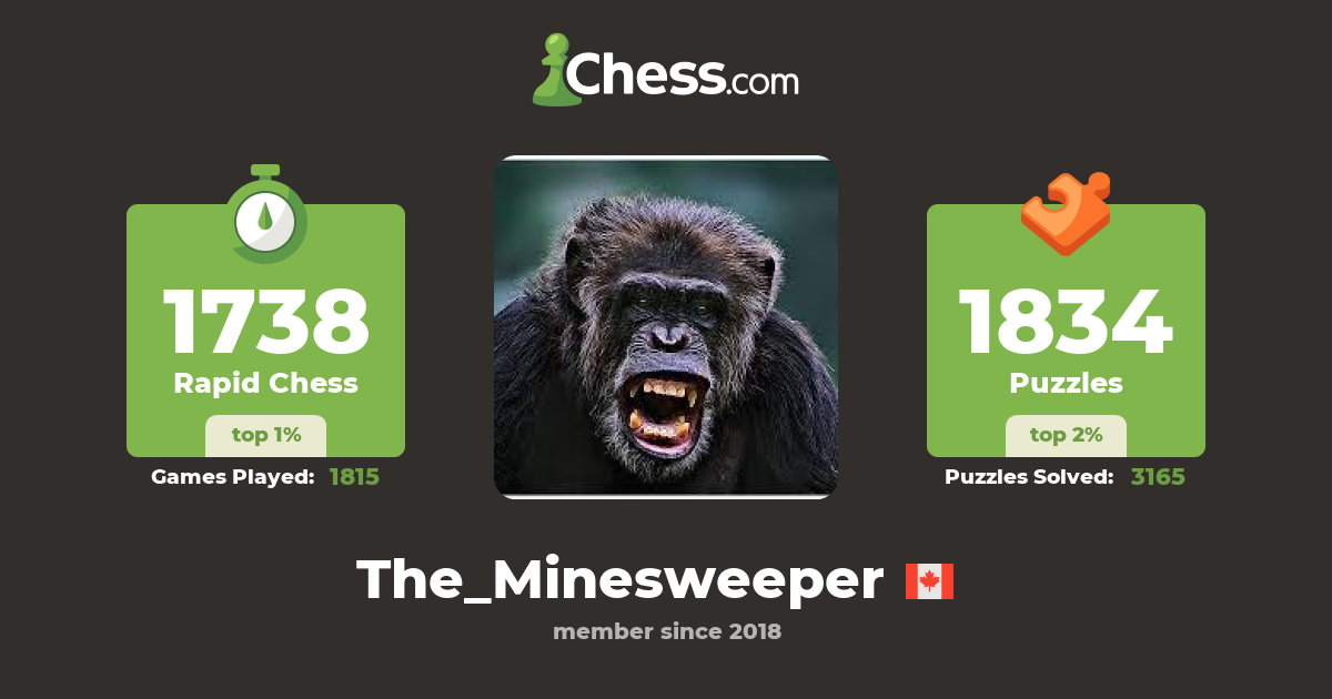 The_Minesweeper - Chess Profile - Chess.com