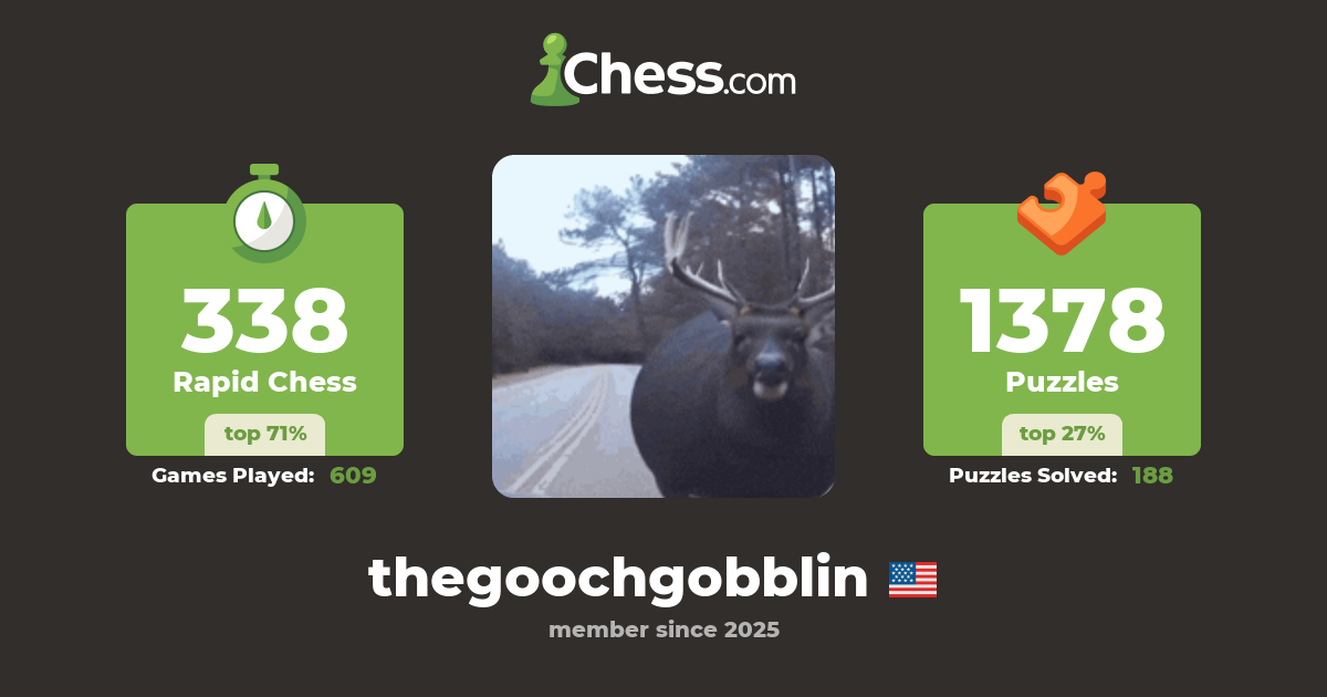 jiga boo-joe (thegoochgobblin) - Chess Profile - Chess.com