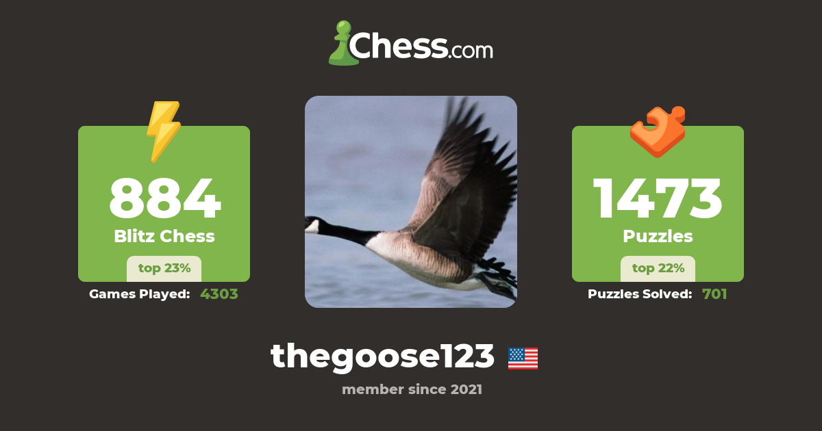 thegoose123 - Chess Profile - Chess.com