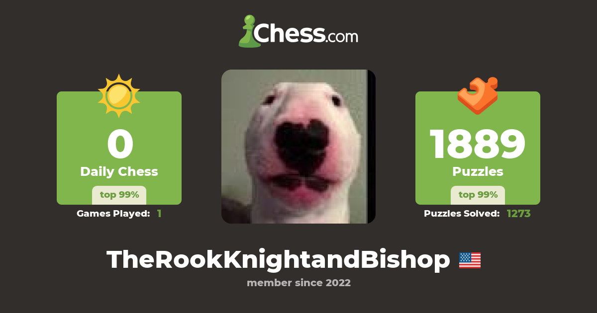 Ethan Seeley (TheRookKnightandBishop) - Chess Profile - Chess.com