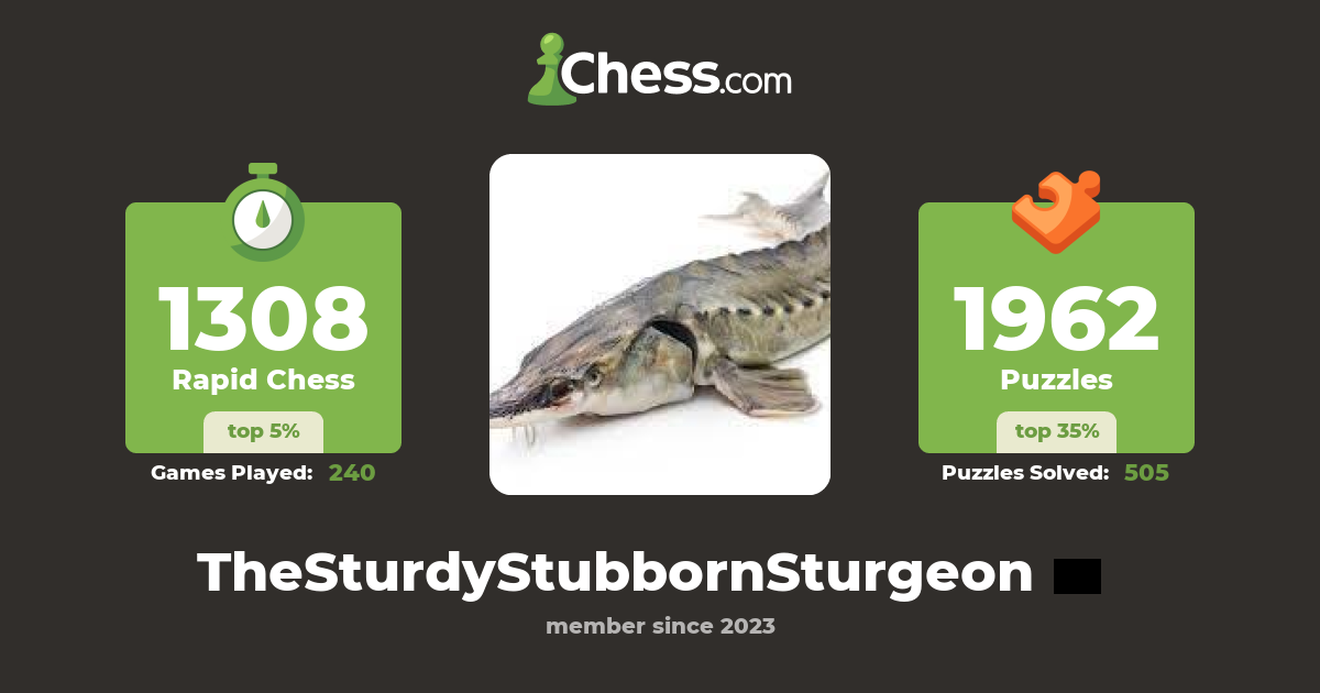 Liam Kim (TheSturdyStubbornSturgeon) - Chess Profile - Chess.com