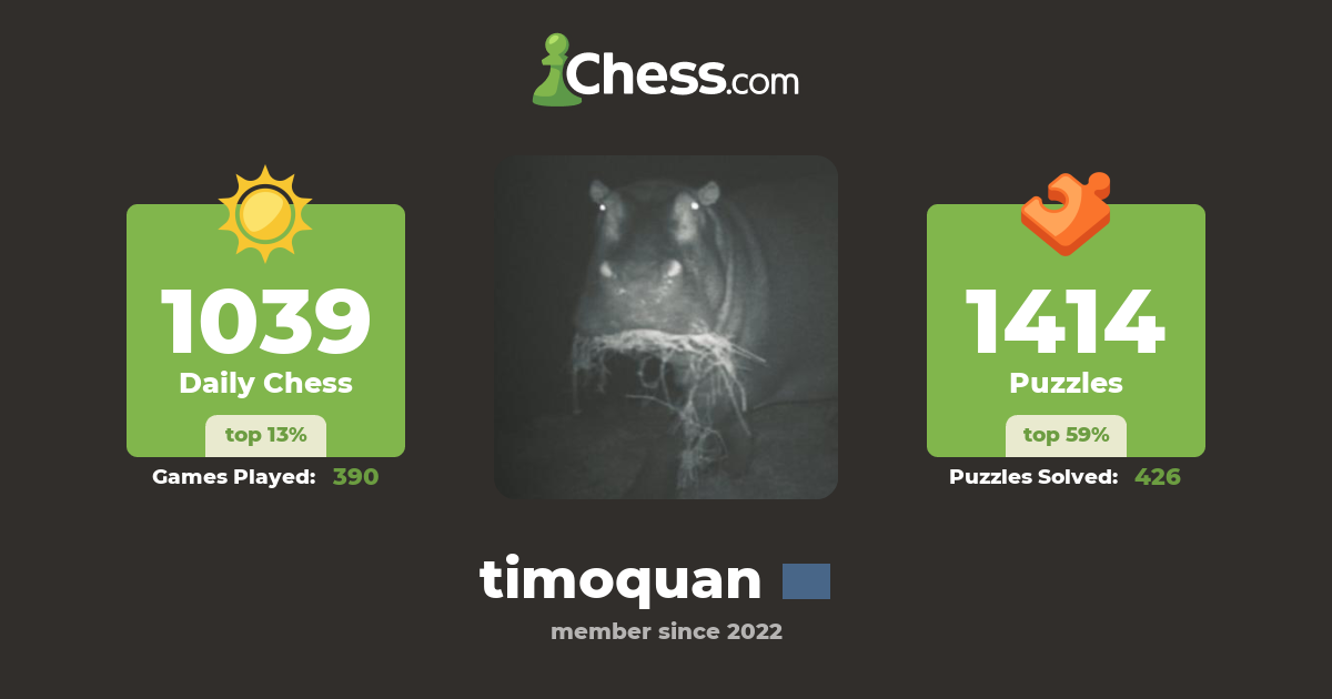 Harro Boysen (timoquan) - Chess Profile - Chess.com