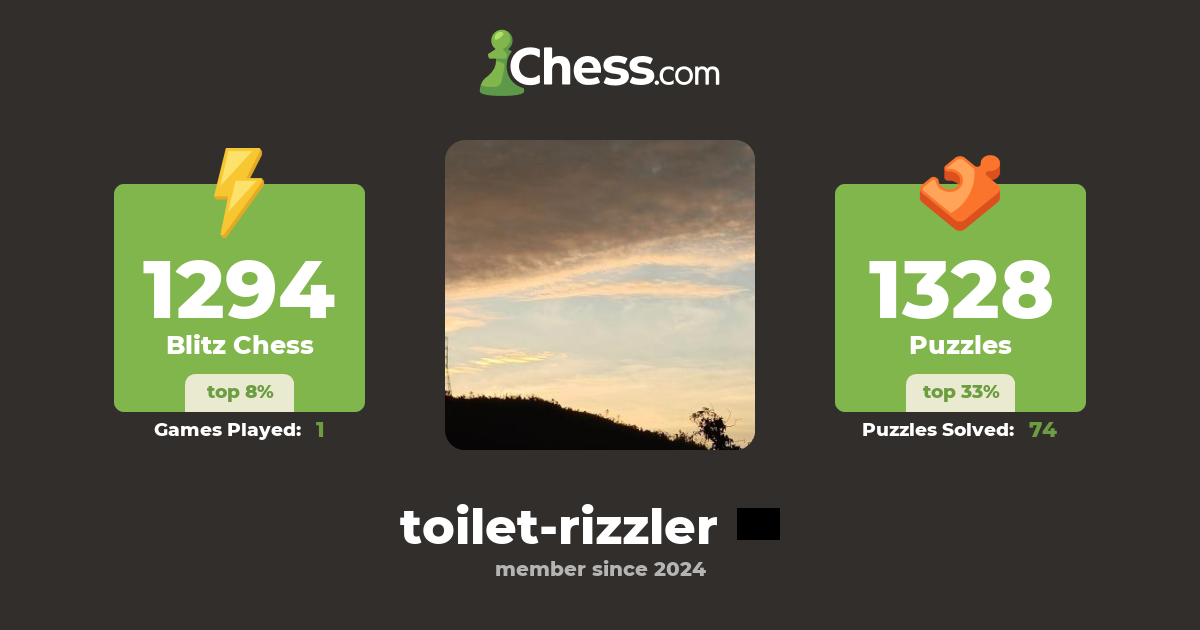 toilet rizzler (toilet-rizzler) - Chess Profile - Chess.com