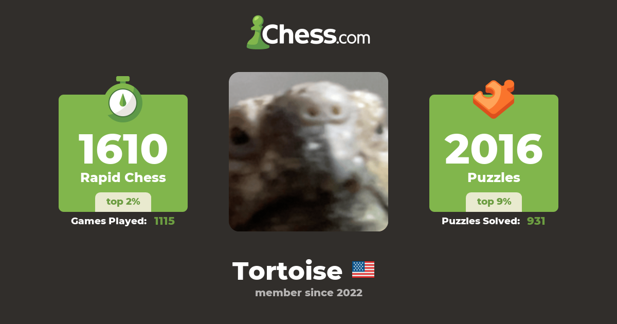 Tortoise - Chess Profile - Chess.com