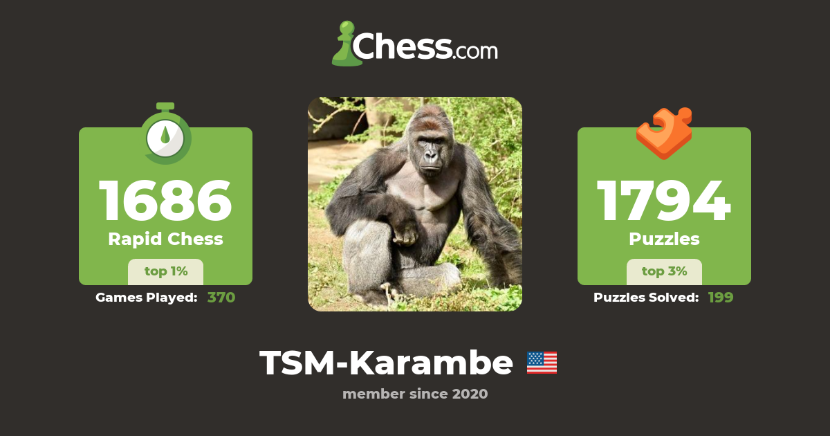 Karam Hajjar (TSM-Karambe) - Chess Profile - Chess.com