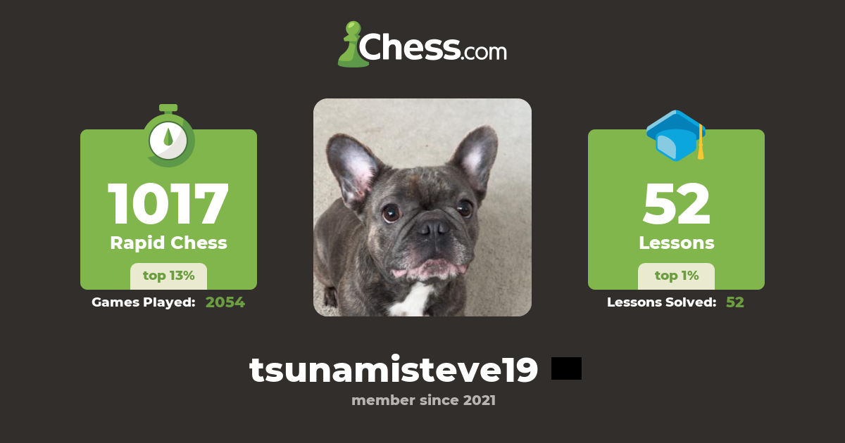 Steve Clouse (tsunamisteve19) - Chess Profile - Chess.com