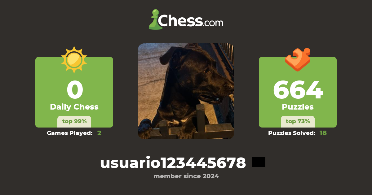 Yvan Fajardo (usuario123445678) - Chess Profile - Chess.com