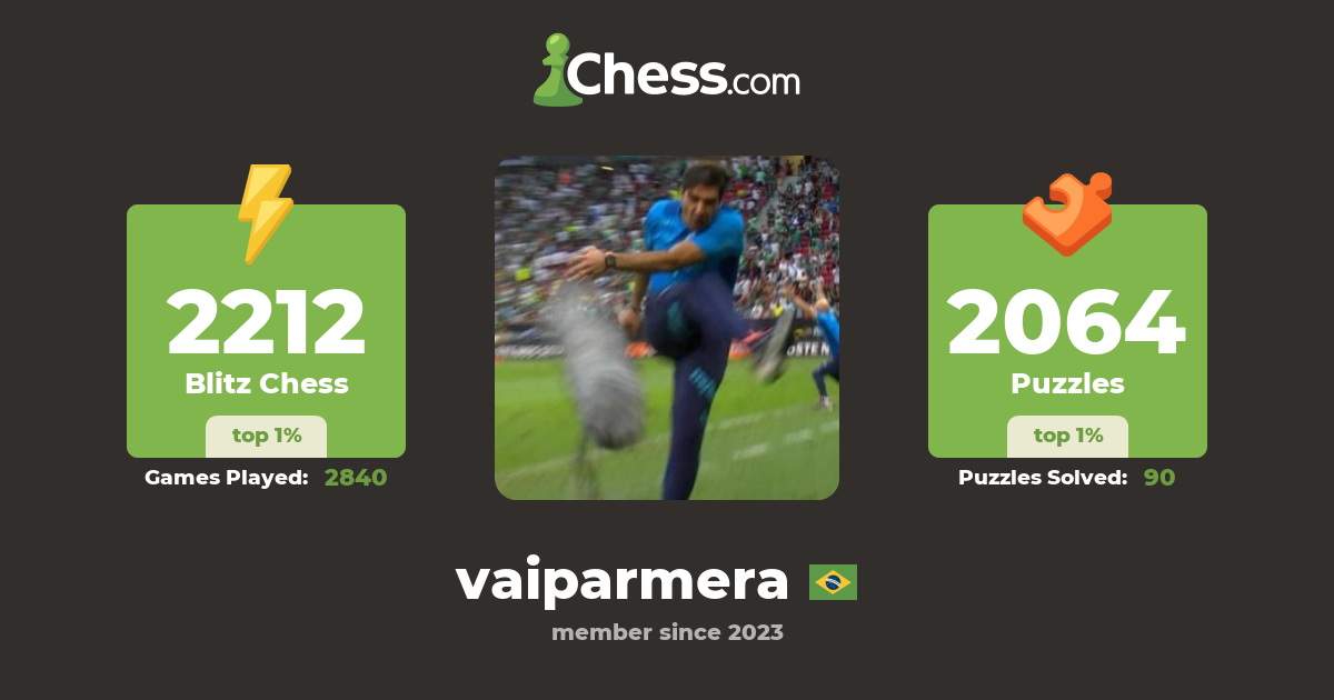 Gabriel Rocha (vaiparmera) - Chess Profile - Chess.com
