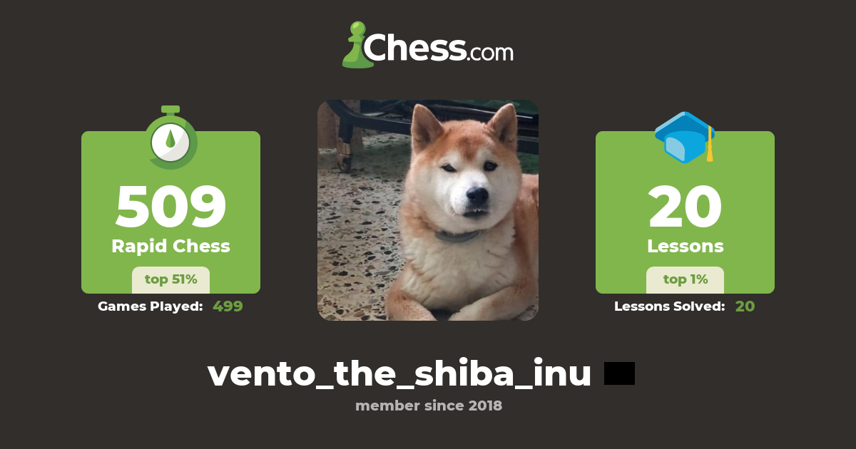 Nello Lol (vento_the_shiba_inu) - Chess Profile - Chess.com