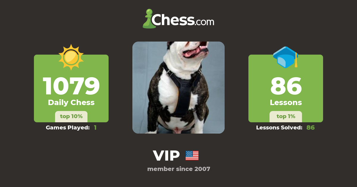 The VIP (VIP) - Chess Profile - Chess.com
