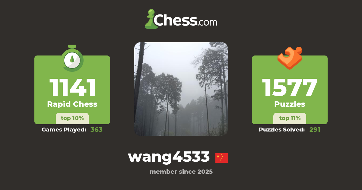 wang4533 - Chess Profile - Chess.com