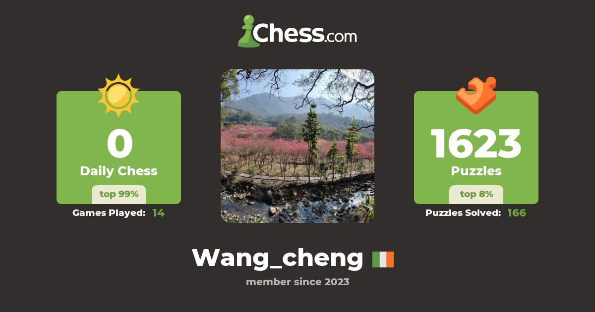 Wang_cheng - Chess Profile - Chess.com