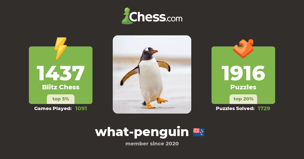 what-penguin - Chess Profile - Chess.com