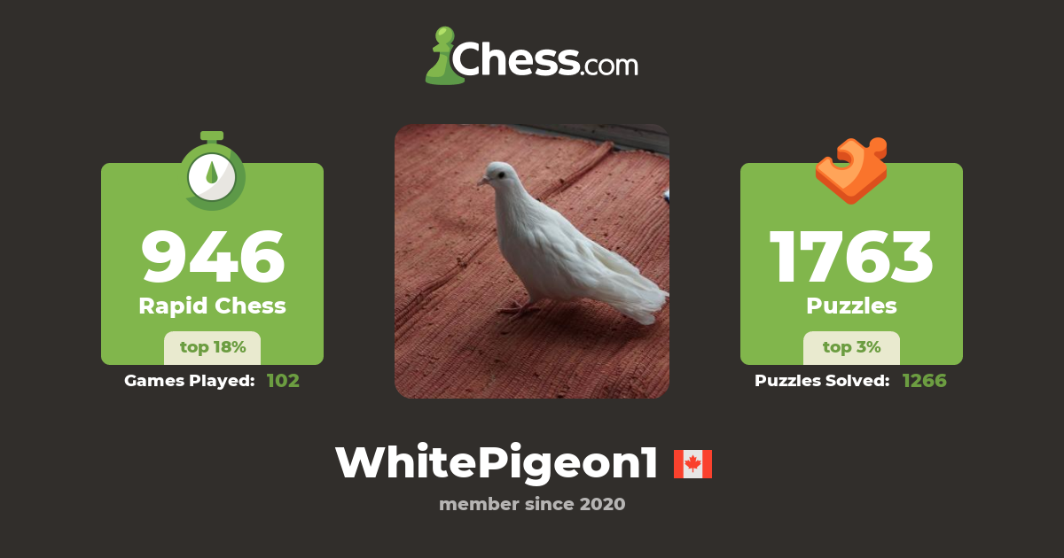 WhitePigeon1 - Chess Profile - Chess.com
