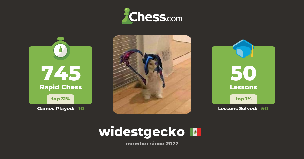 widestgecko - Chess Profile - Chess.com