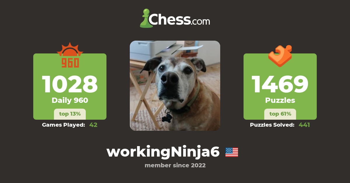 workingNinja6 - Chess Profile - Chess.com