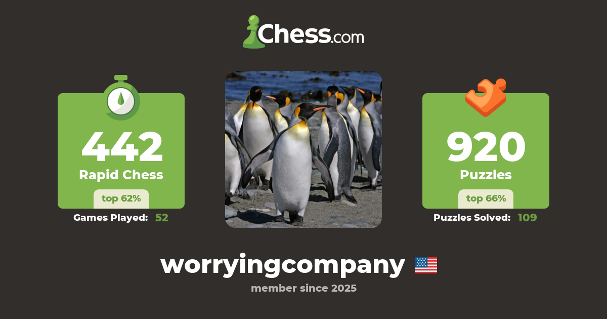 worryingcompany - Chess Profile - Chess.com