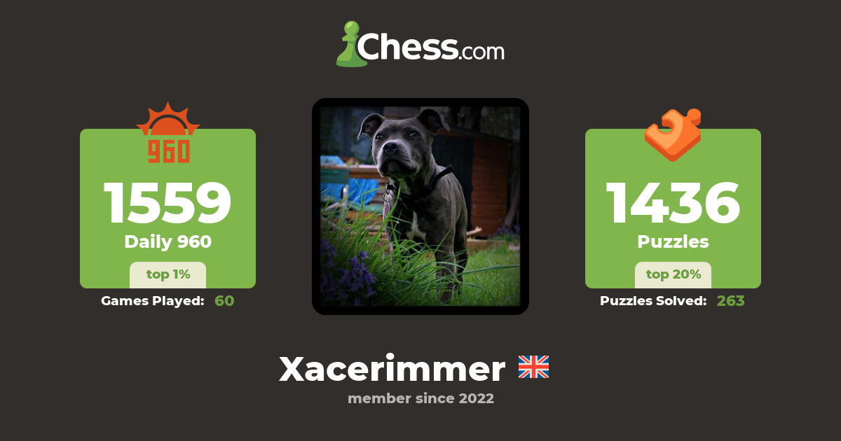 Robin Pritchard (Xacerimmer) - Chess Profile - Chess.com