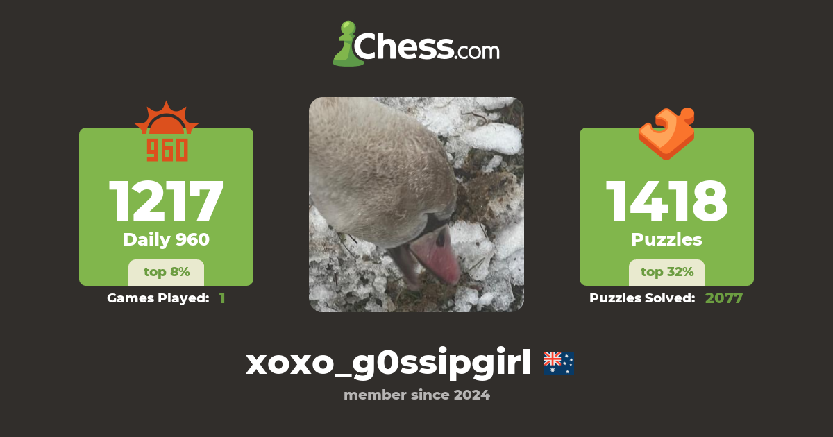 annie brej (xoxo_g0ssipgirl) - Chess Profile - Chess.com