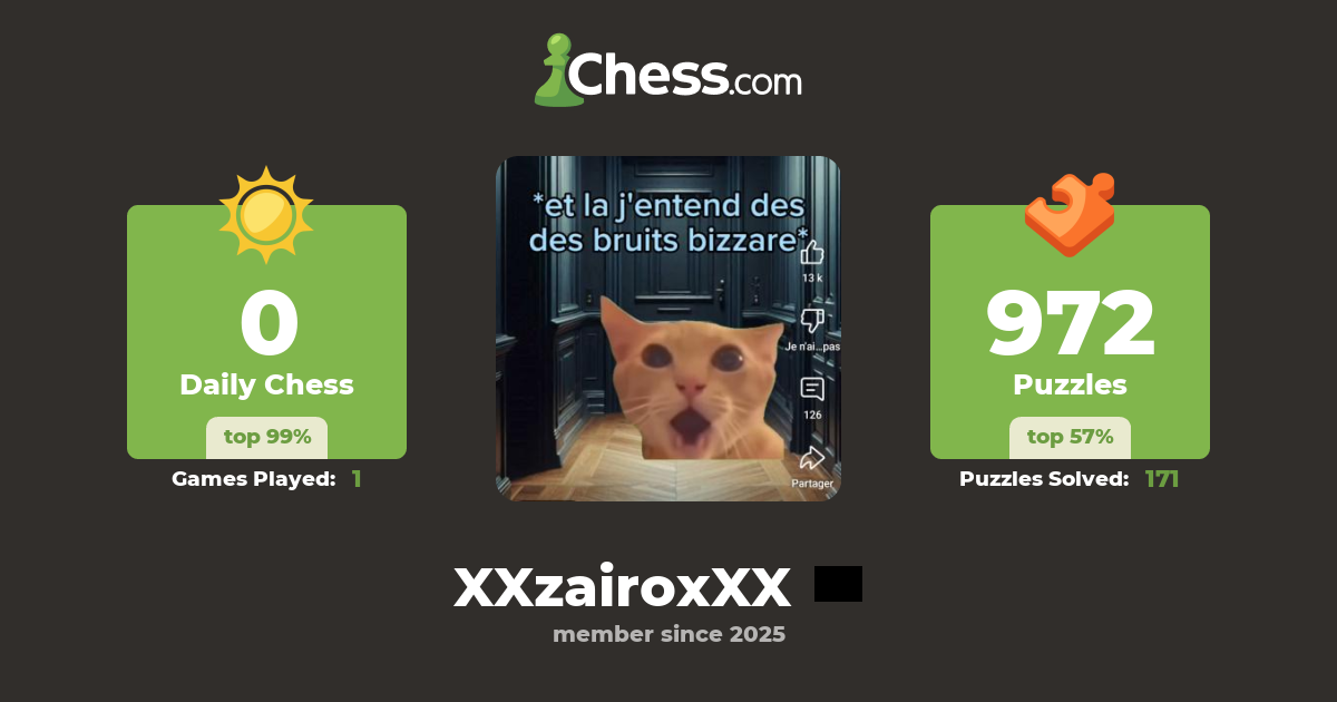 skibidi rizz (XXzairoxXX) - Chess Profile - Chess.com