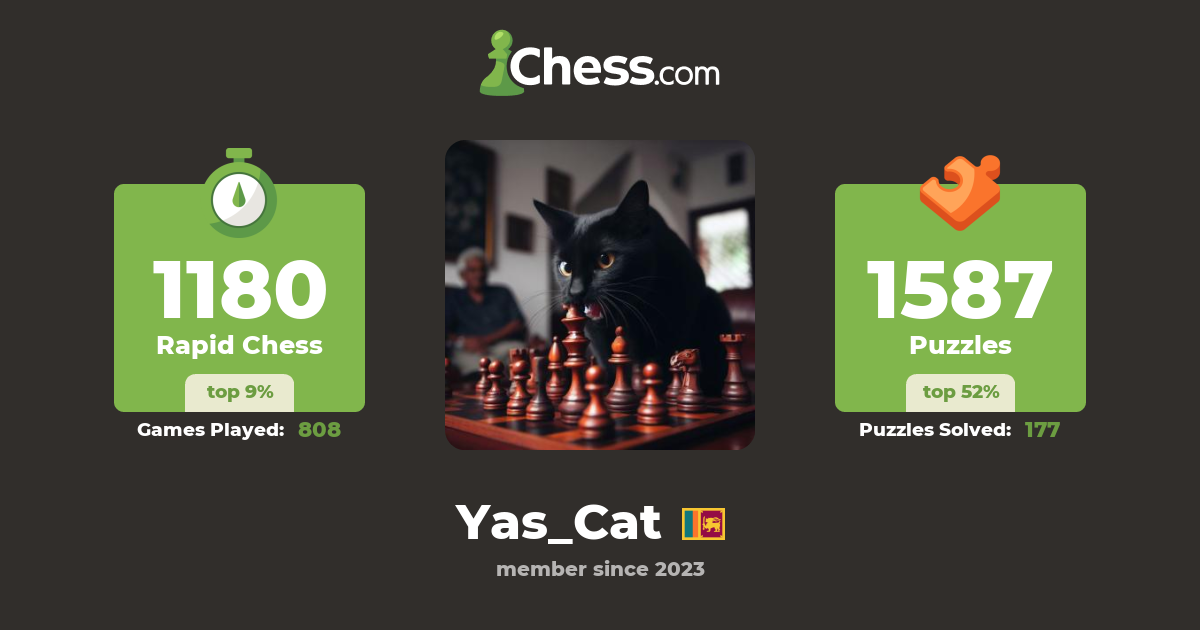 Black Cat (Yas_Cat) - Chess Profile - Chess.com