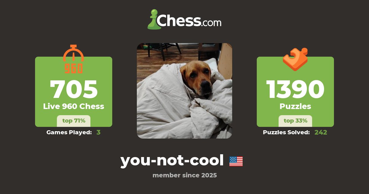 you-not-cool - Chess Profile - Chess.com
