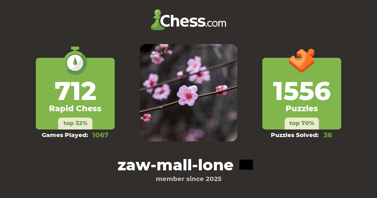 Zan Lay (zaw-mall-lone) - Chess Profile - Chess.com