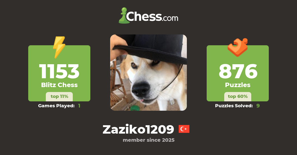 Zaziko1209 - Chess Profile - Chess.com